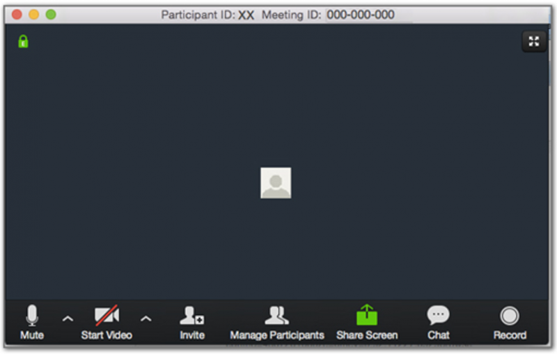 How to Make Presentations to a Virtual Audience